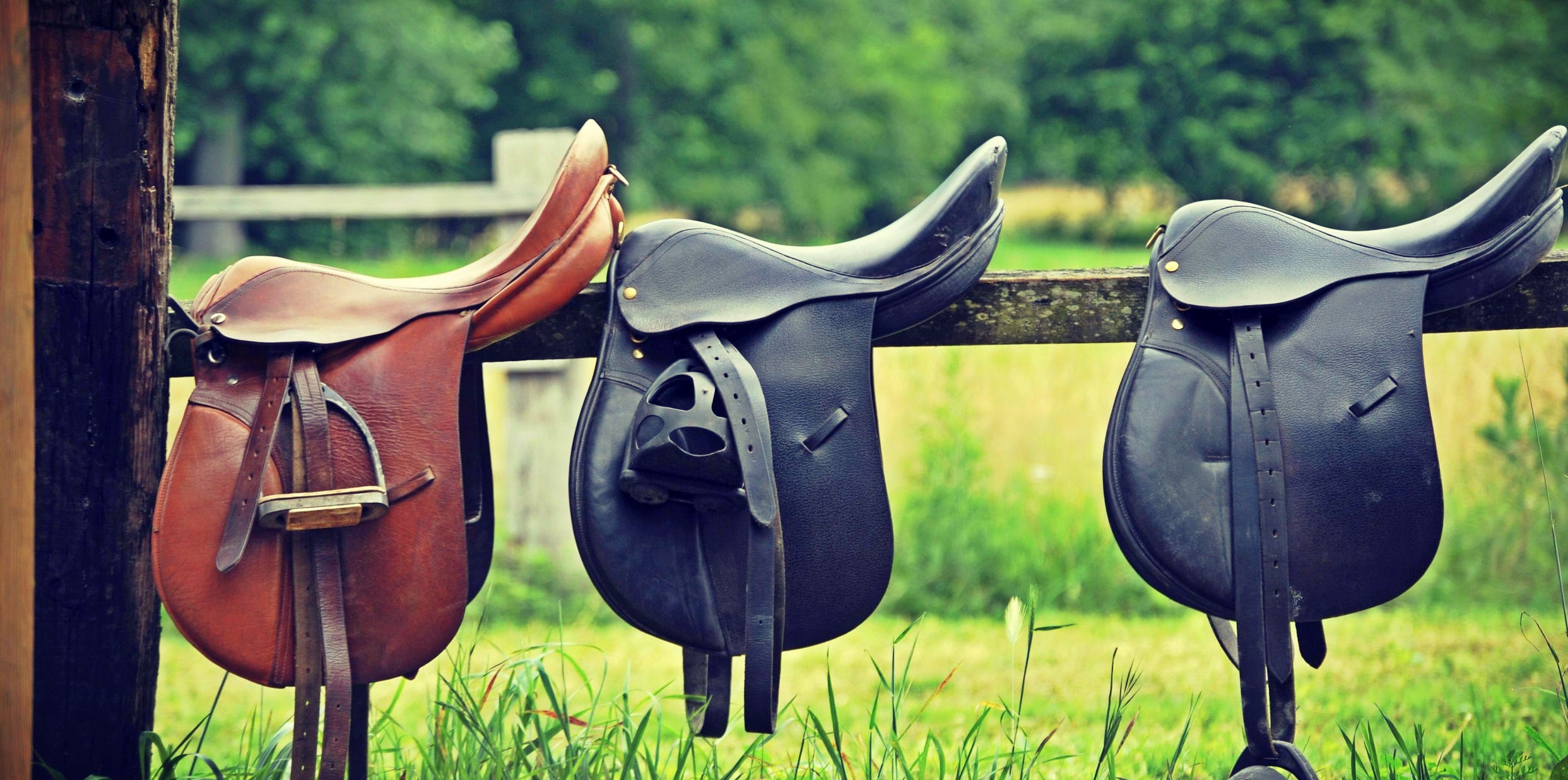 Premium quality driving harness, tack items and leather dog harness ...